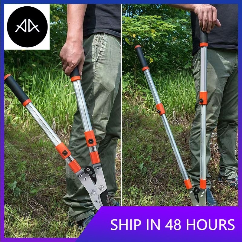 Garden Scissors Pruning Shears Flower Fruit Tree Heavy Duty Garden ...