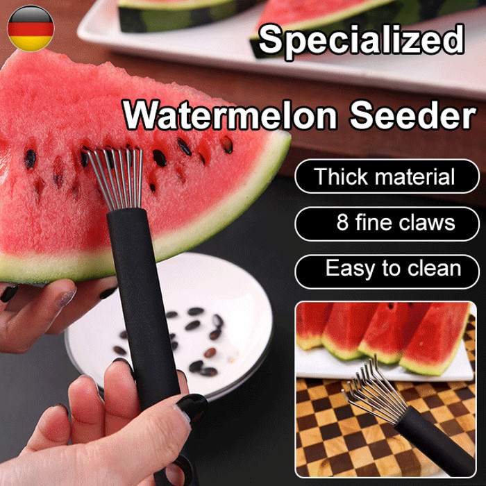Melon Seed Remover 304 Stainless Steel Watermelon Seed Removal Special ...