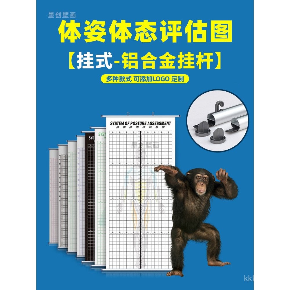 Aluminum Alloy Hanging Posture Assessment Chart Fitness Studio Yoga ...