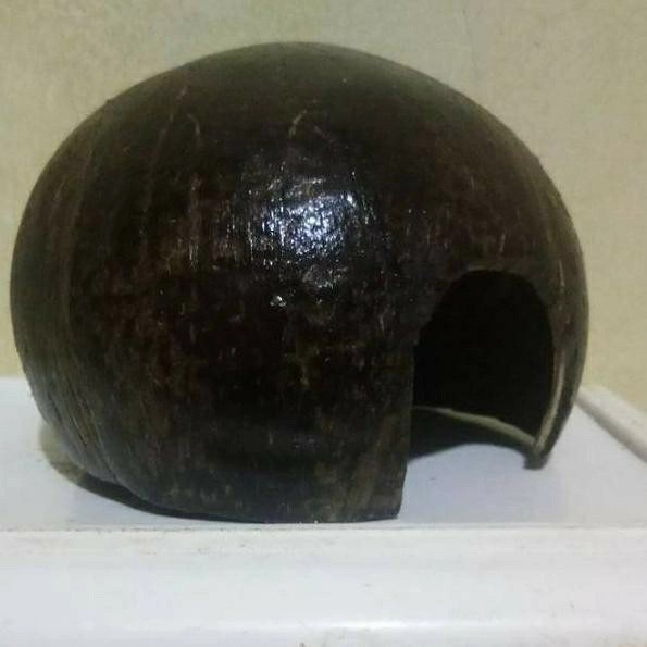 Hamster House Made Of Coconut Shell model eskimo | Shopee Philippines
