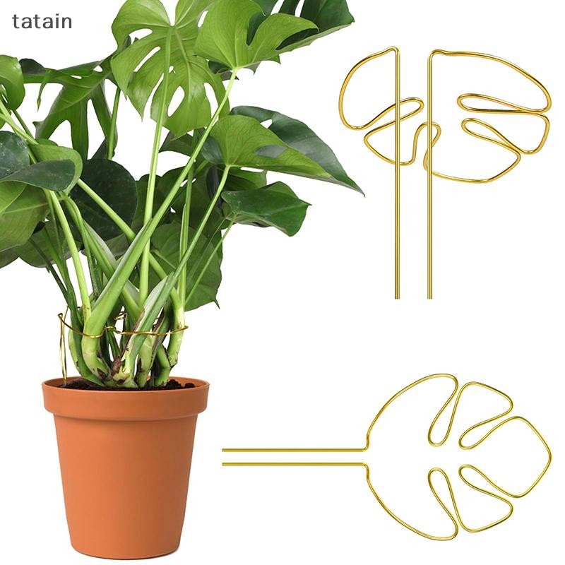 tatain 2Pcs Plant Stem Support Iron Monstera Plant Support Plant Stem ...