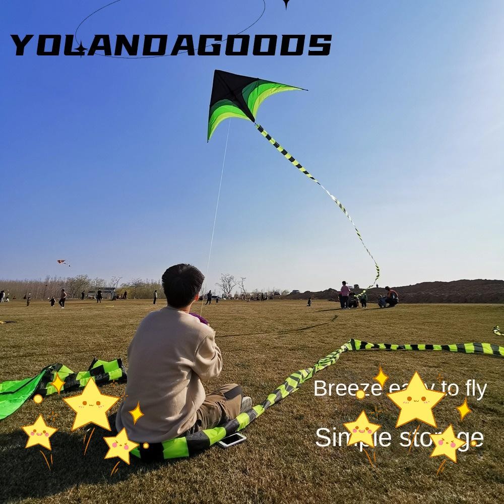 YOLA 1.6m Large Delta Kite, Long Tail with 100M Kite Line Rainbow Kite ...