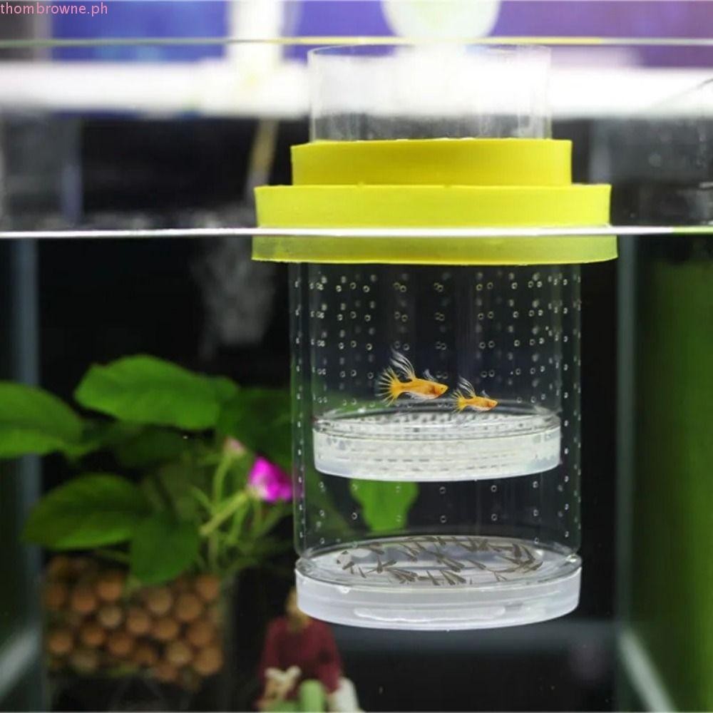 THOMBROWNE Floating Hatching Box, Plastic Colorful Fish Breeding ...