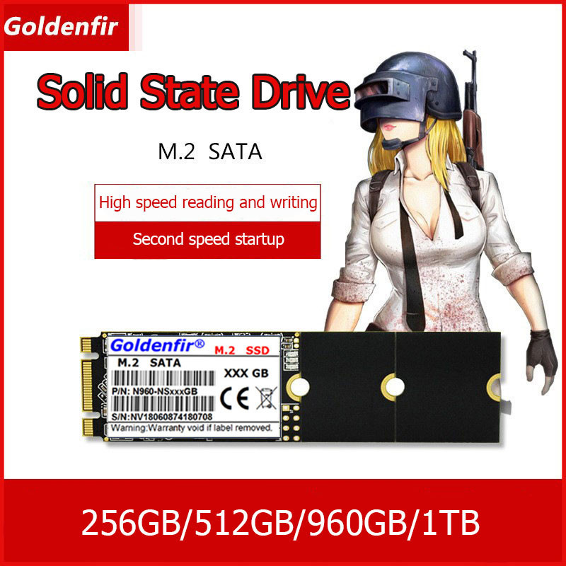 Goldenfir M2 SSD 256GB 512GB 960GB 1TB M.2 NVMe Internal Solid State Drive PCIe N960-NS 2260 ...