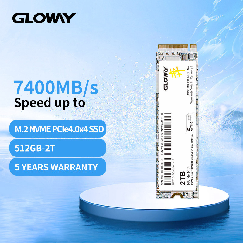 Gloway SSD M.2 2280 NVMe 1TB 512GB 2TB PCIe 4.0 x 4 Internal Solid ...