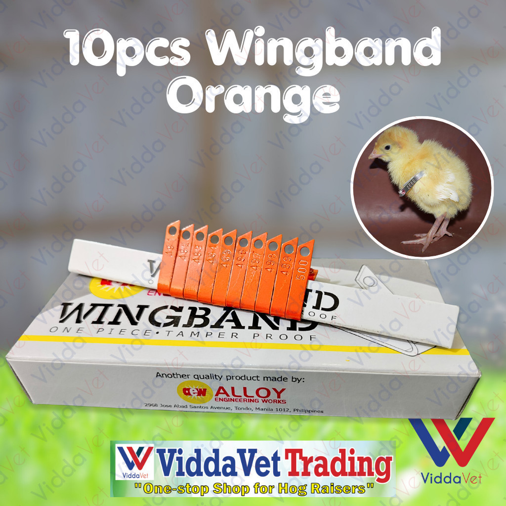 10pcs Wingband Orange for chicken wings wingband Wing Bands for Long ...