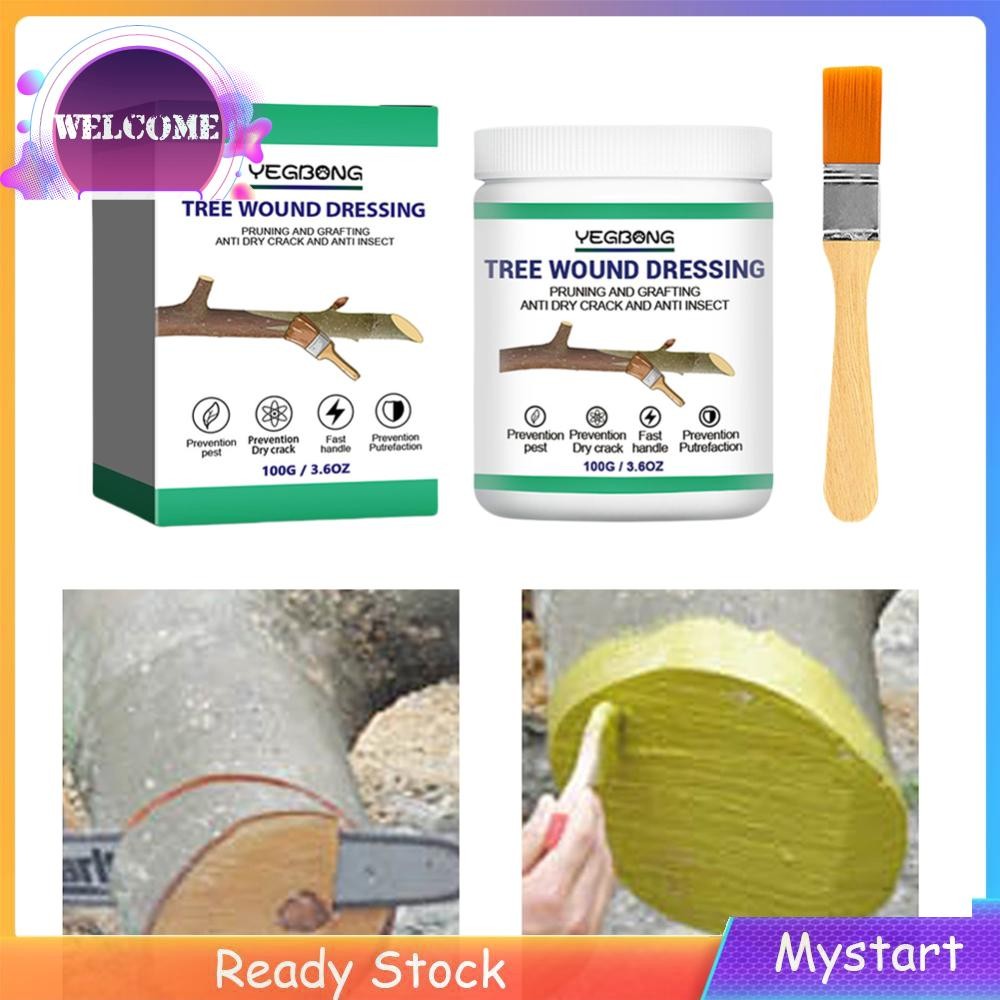 100g Tree Grafting Paste with Brush Tree Wound Bonsai Cut Paste for ...