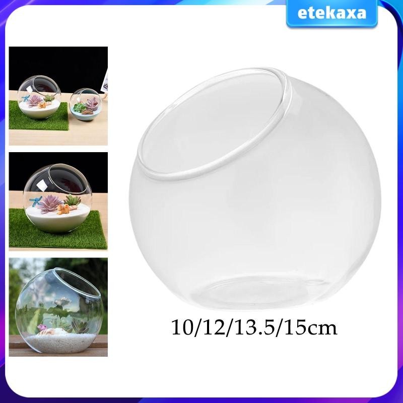[Etekaxa] Slant Cut Glass Tabletop Terrarium Decorative Transparent ...