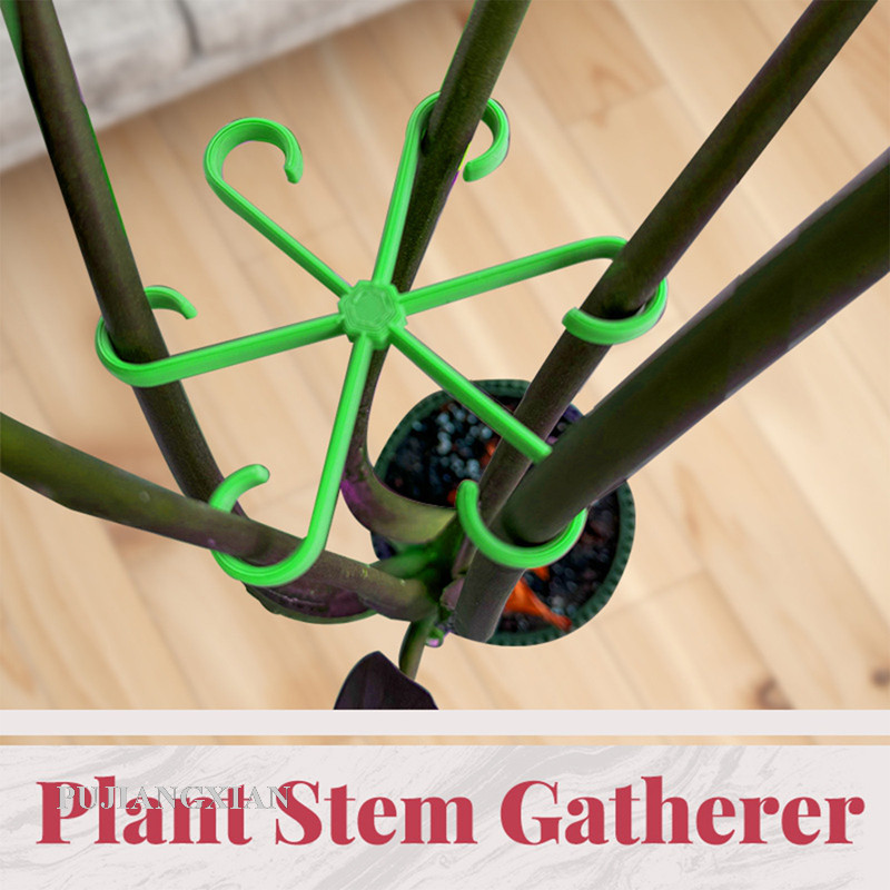 【PJX】 8PCS Plant Shrub Holder, Plant Stem Holder, Plant Gripper, Plant ...