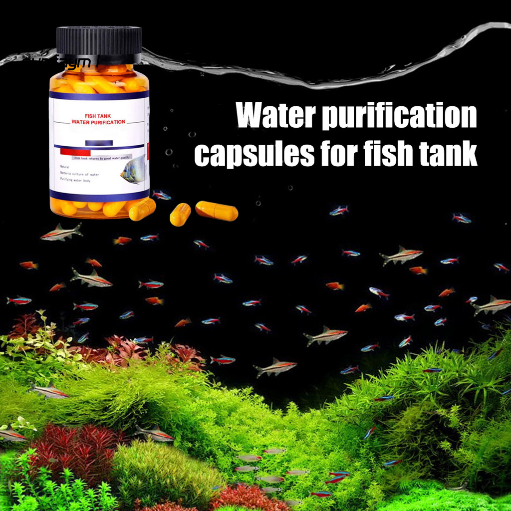SUNFA Quick Aquarium Water Purification Aquarium Water Purification ...