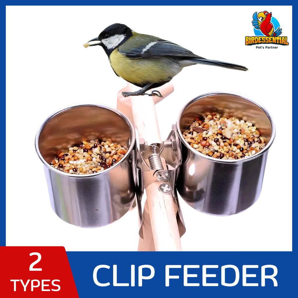 Stainless Clip Feeder/Waterer for pets small birds budgies, canaries ...