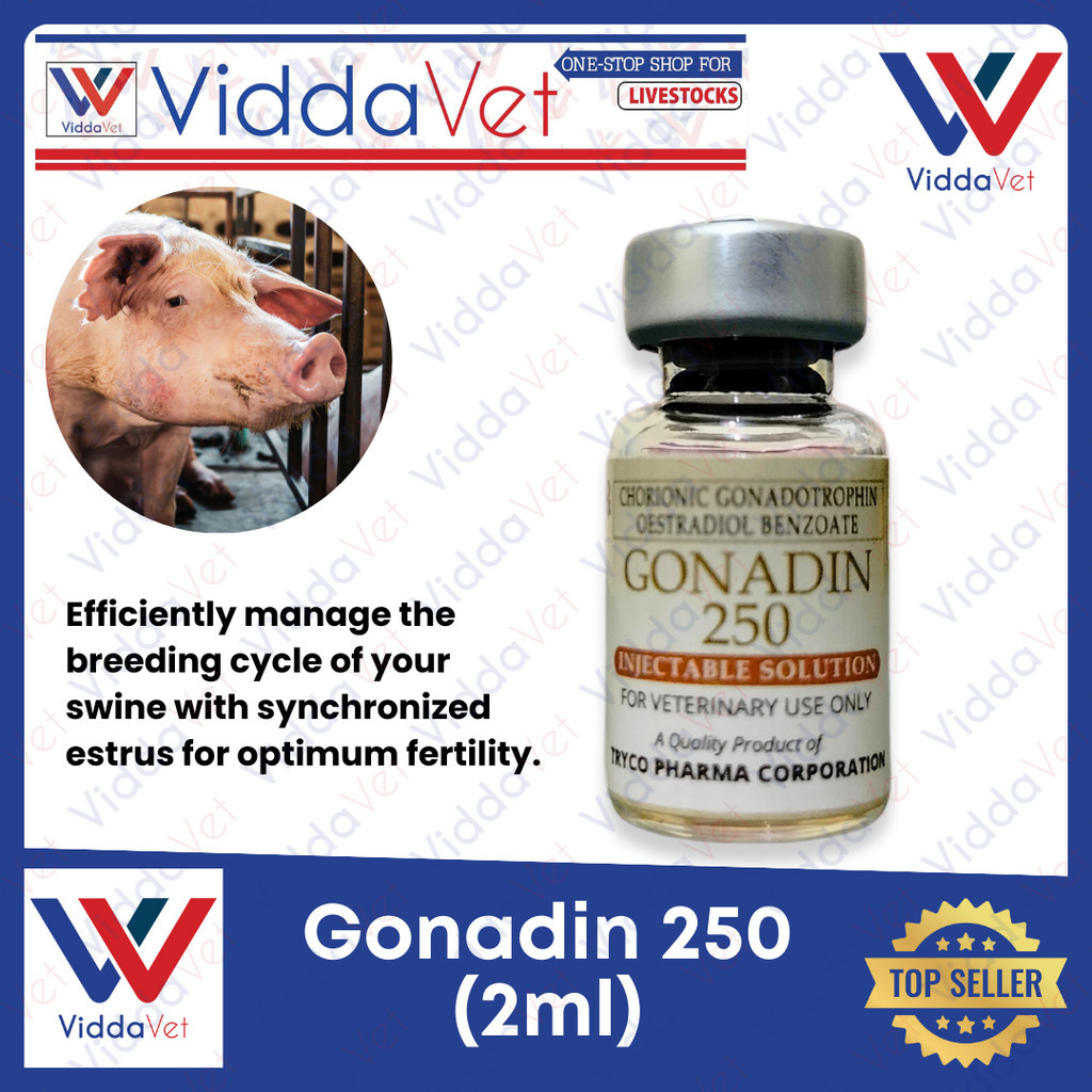 Viddavet Gonadin 250 (2ml) for pigs 2ml | Shopee Philippines