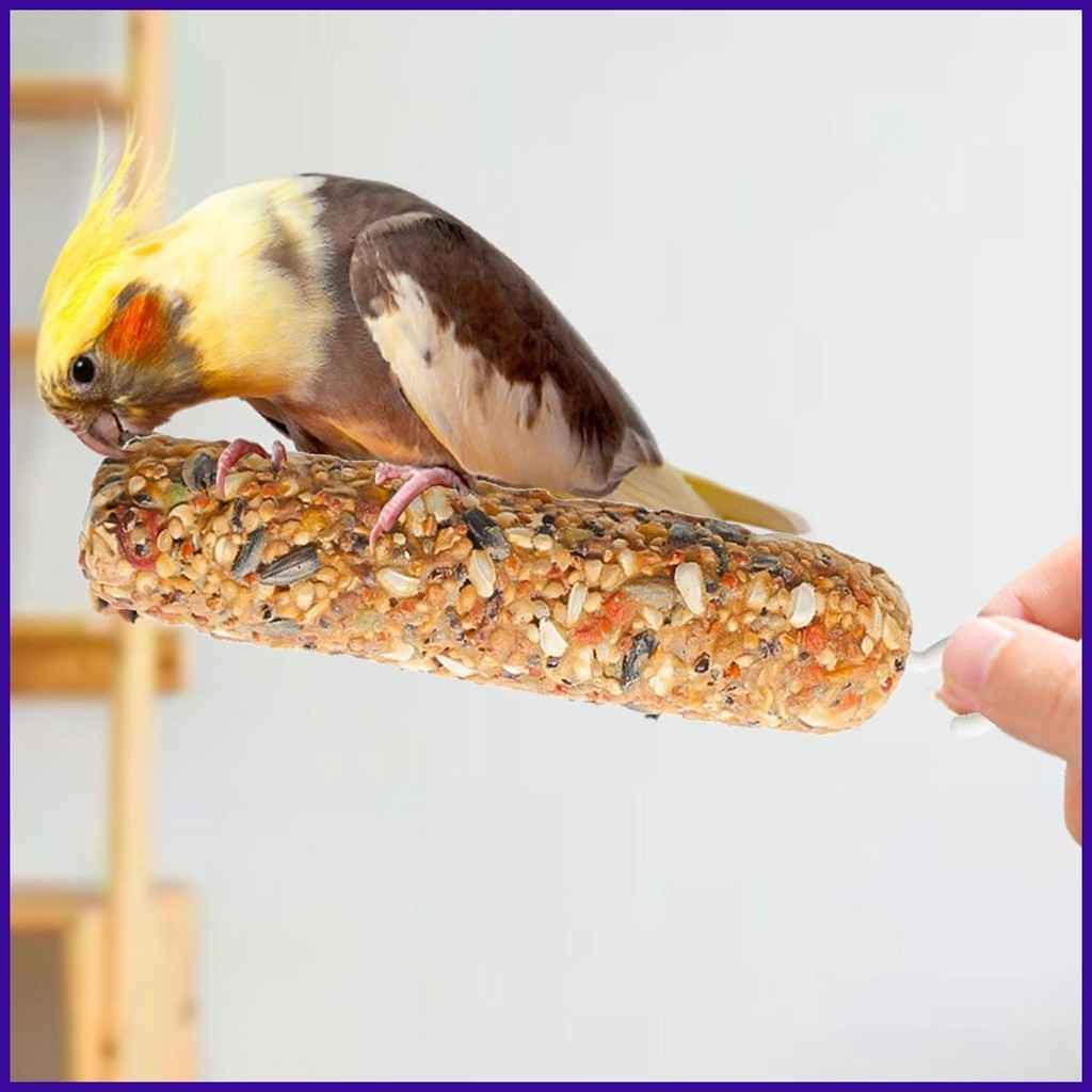 Cockatiel Treat Sticks Sticks Parakeet Treat Natural Fruit And ...