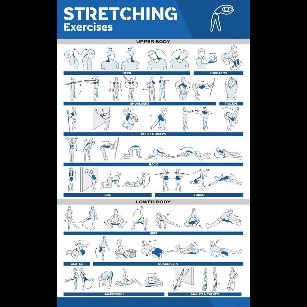 Stretching Exercises Posters for Home Gym Full Body Workout Core Abs ...