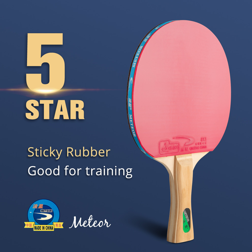 METEOR 5 Stars Professional Table Tennis Racket High Performance ...