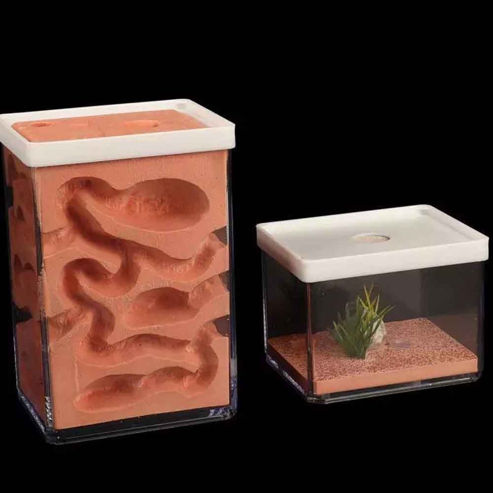 Ant Castle Habitat - Transparent Ant Farm Nest Terrarium for ...