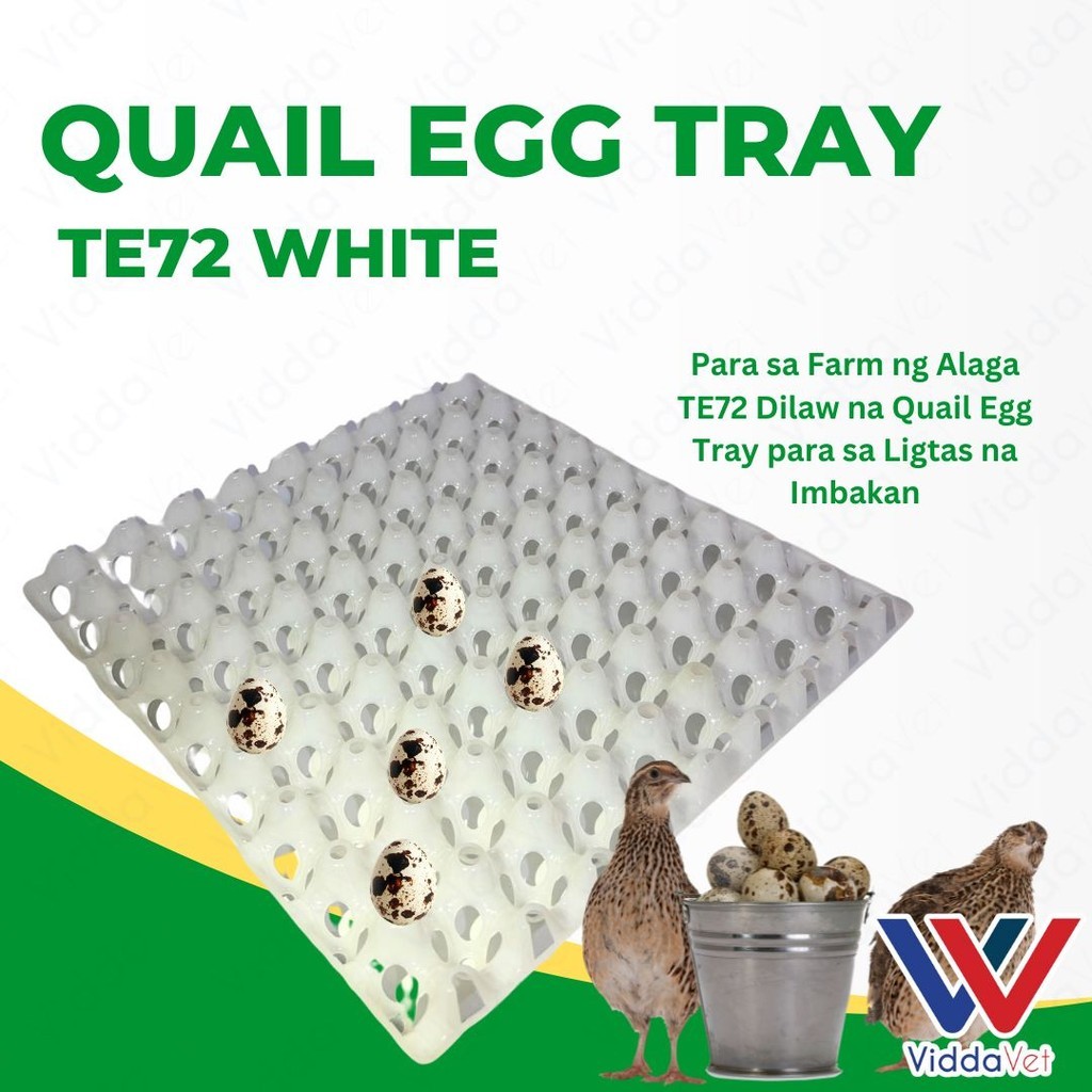 Quail Egg Tray White with 24 Slots for Organizing and Storing Fresh ...