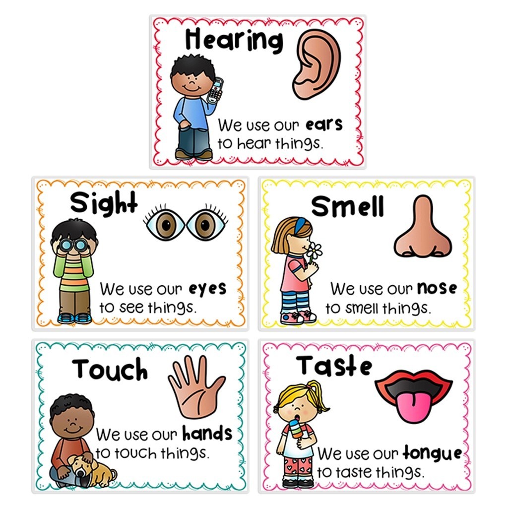 RQ`5 Pcs Five Senses English Words Posters Classroom Decoration posters ...