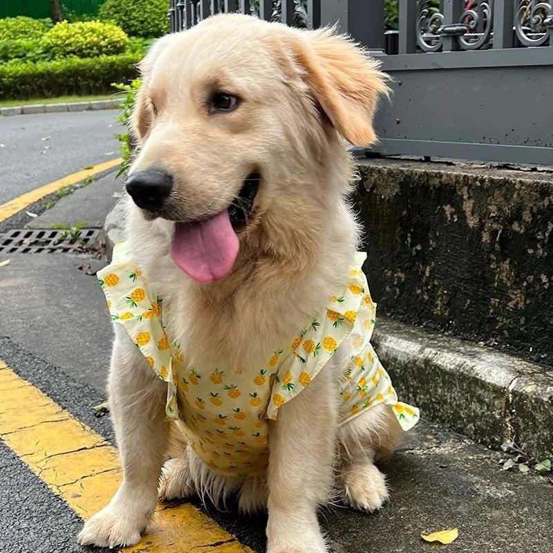 14-50KG Pet Dress Dog Cat Princess Skirt With Cute Big Dog Floral Print ...