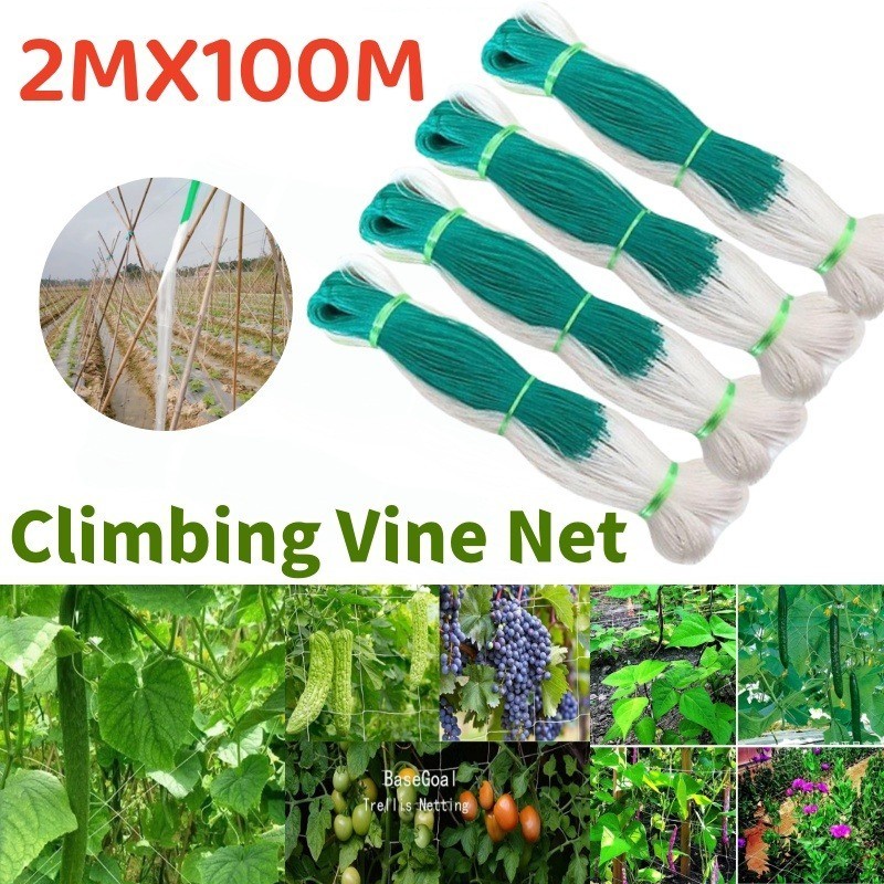 2M X 100M Climbing Vine Net Nylon Cucumber Mesh Net Garden Vine Plant ...