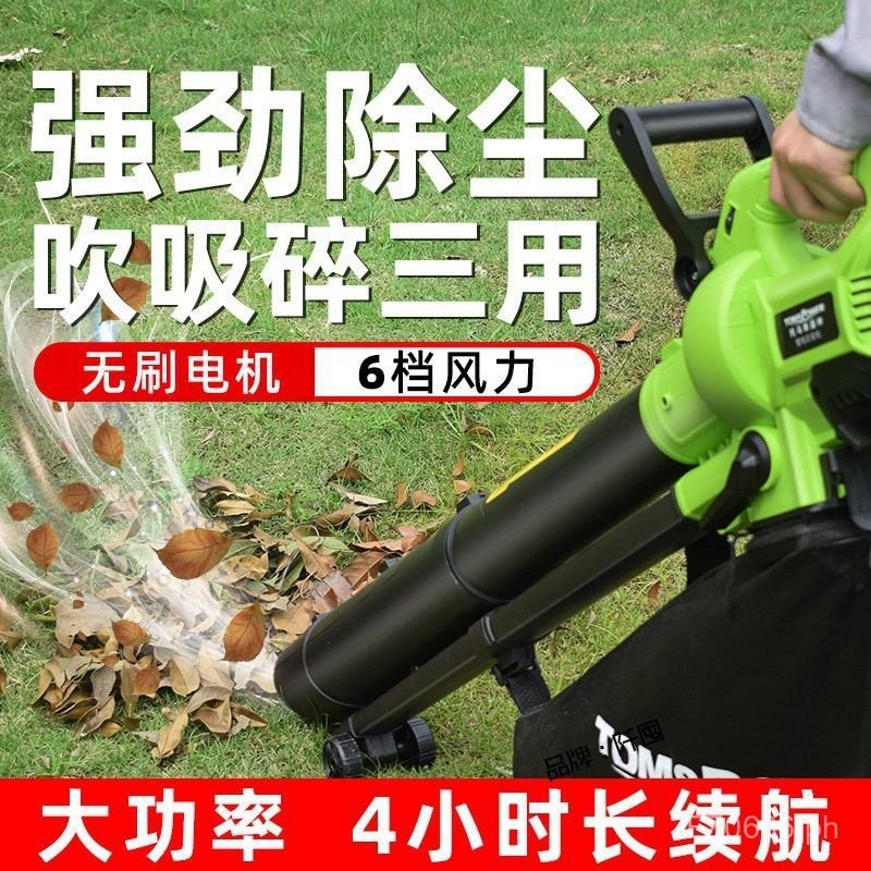 Household Small Dust Blower Industrial Dust Blower Rechargeable Blower ...