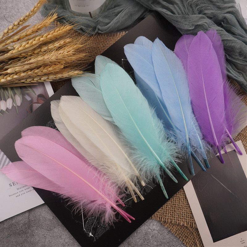DIY Feather Hard Big Floating Feather Wedding Dress Party Decoration ...