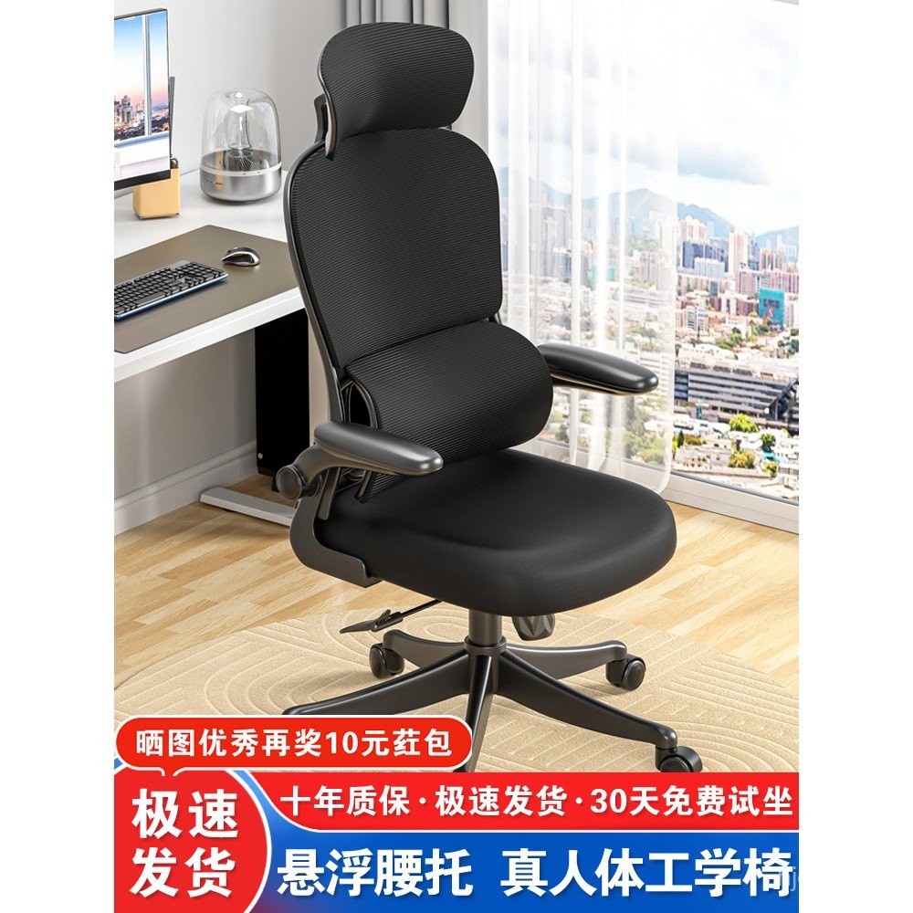 Computer Chair Ergonomic Chair Home Comfortable Long Sitting Study Desk ...