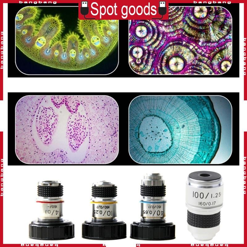 Bang Lab Consumables 4X 10X 40X 100X Microscope Objective Lens ...