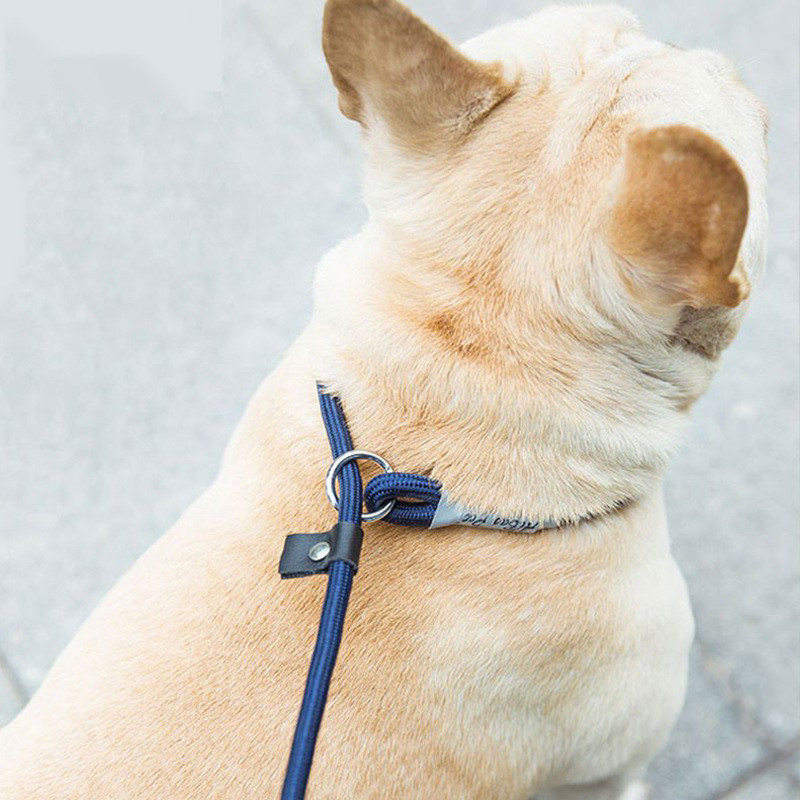 Dog Traction Rope Plug Slip-On p Chain Sleeve Neck Medium-Sized Small ...