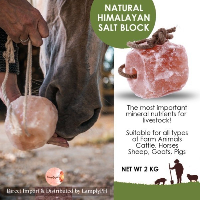 2-3kg Animal Himalayan Lick Salt Licking Salt Block Mineral Salt for ...