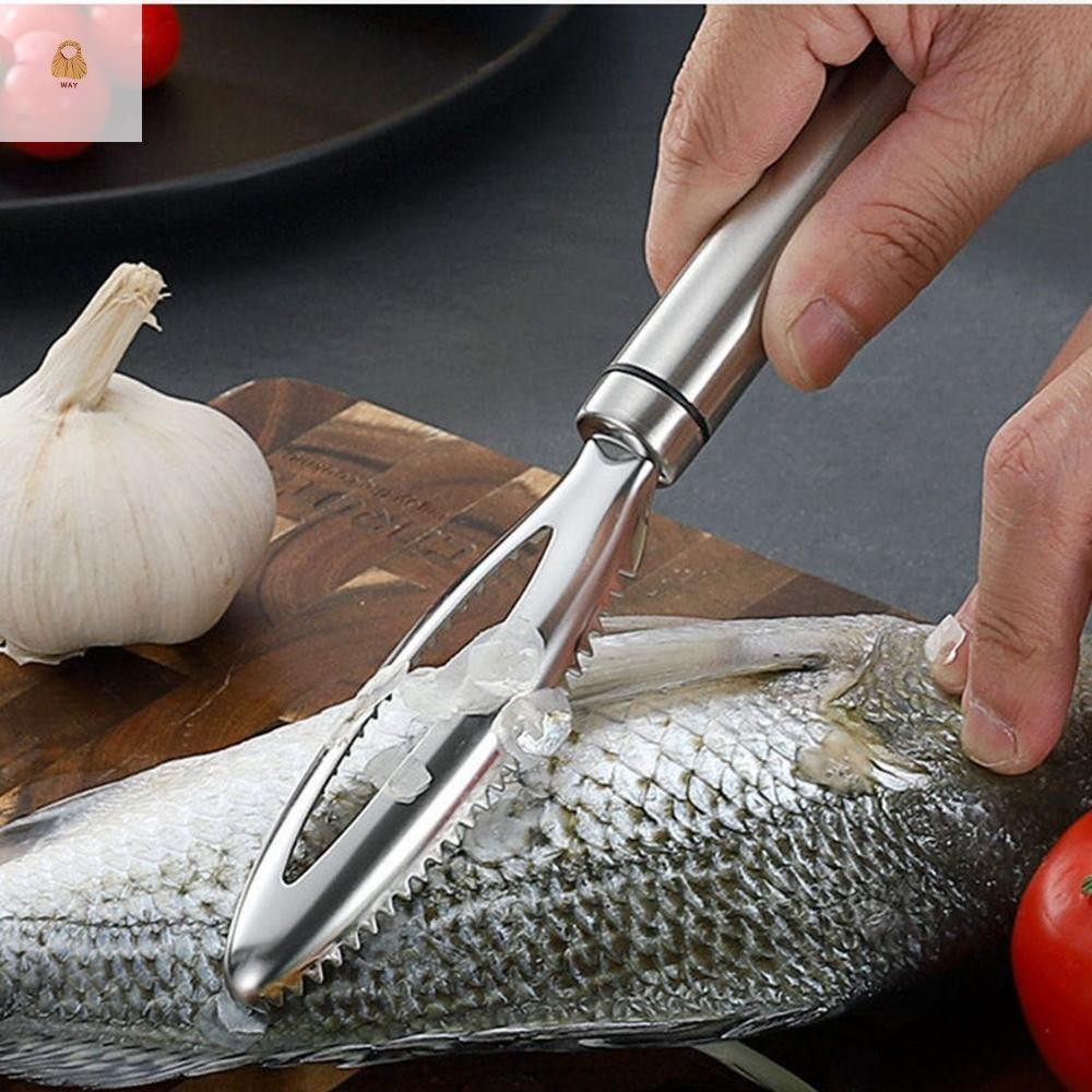 WAY Fish Scaler Non-slip Handle Manual Peeler Cleaning Tool Stainless ...