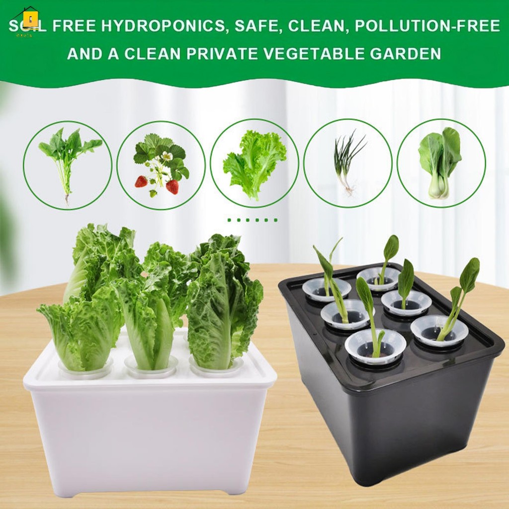 Indoor Hydroponics Grower Kit Hydroponic Grow Set with Seedling Cups ...