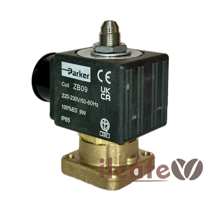 Yi Da Sai Rui Meng SANREMO Imported Italian Semi-Automatic Coffee ...