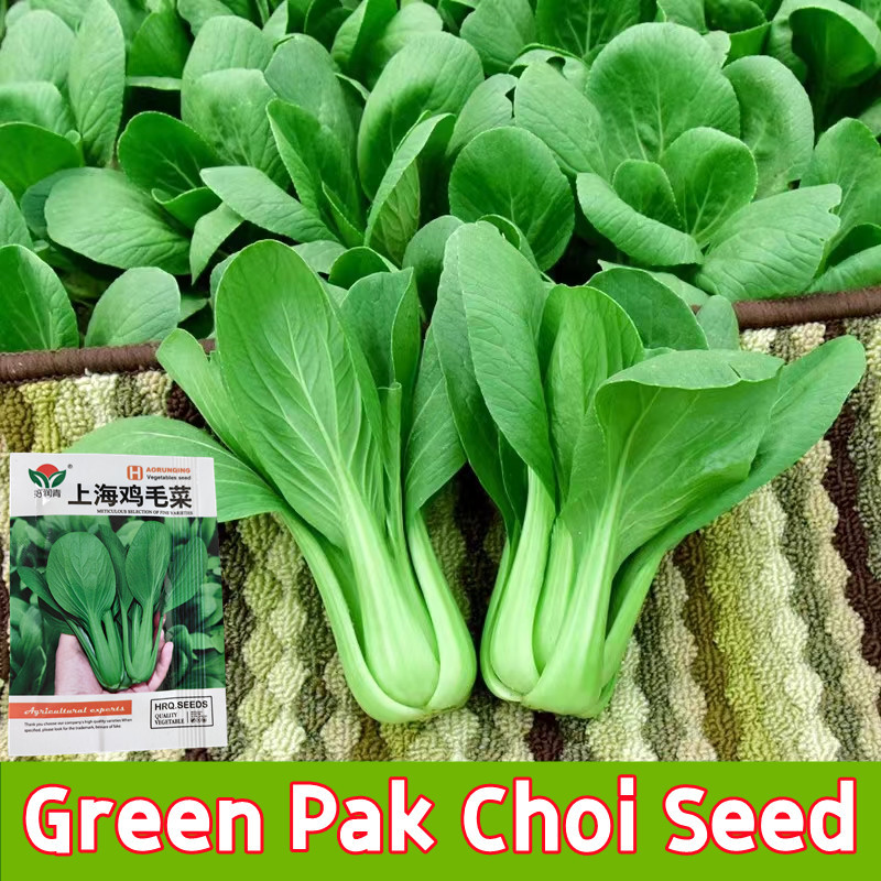 Pak Choi Seeds Bonsai Vegetable Seed High Yield F1 Pakchoi Plant Seeds ...