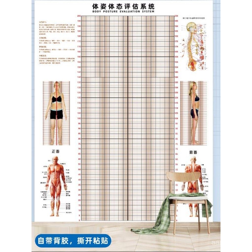 Posture Assessment Chart Wall Sticker Gym Fitness Grid Paper Yoga ...