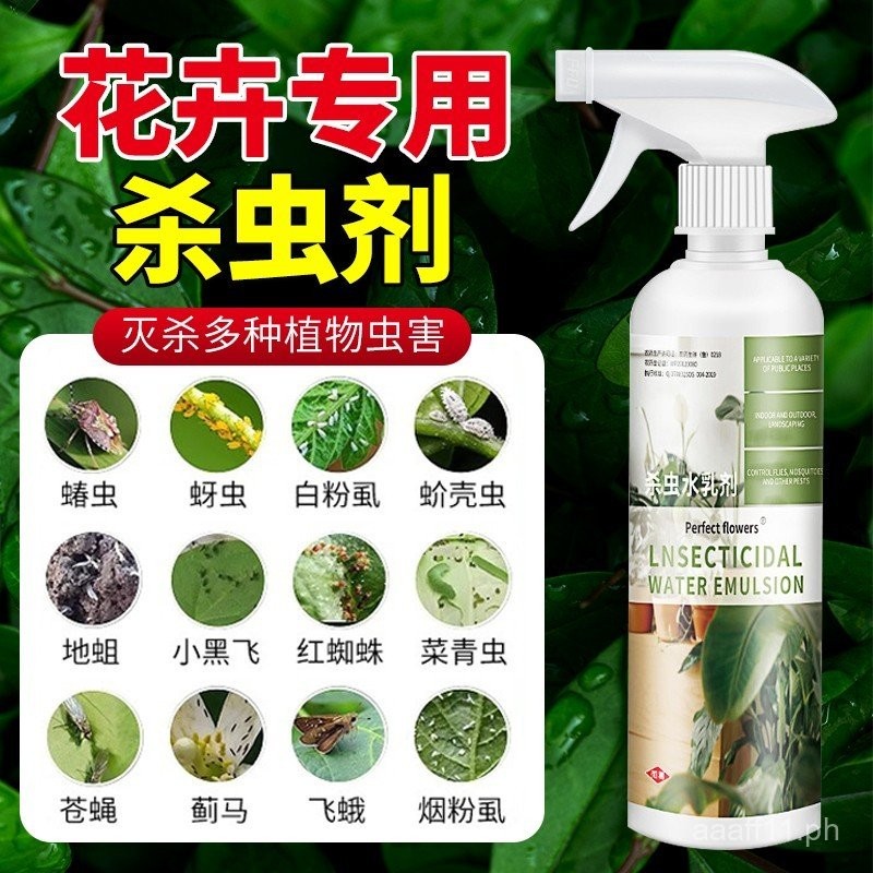 German Insecticide for Flowers and Plants, Aphid Killer for Roses ...