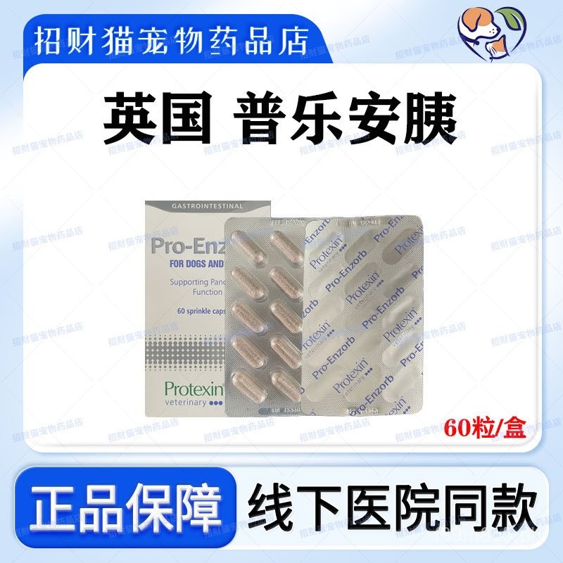 British Pancreas Buplean Pancreas Pro-enzorb Cat and Dog Pancreatitis ...