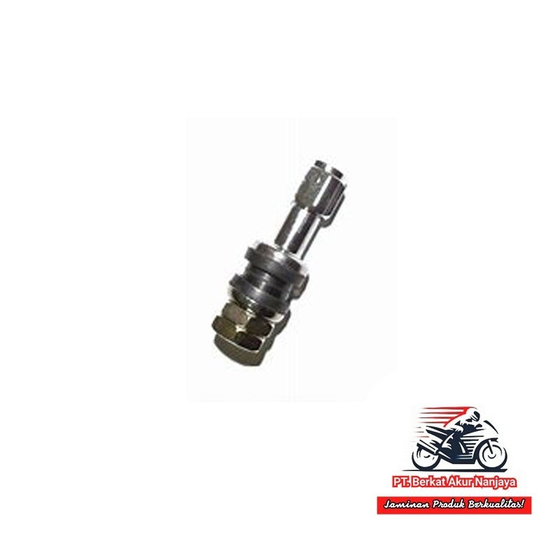 Long Iron Valve Motorcycle Rim Valve tire valve | Shopee Philippines