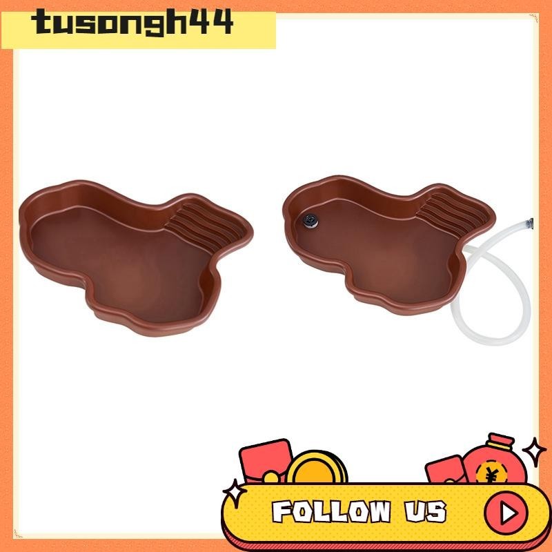 Reptile Bathing Pool Amphibians Accessories with Ramp Reptile Water ...