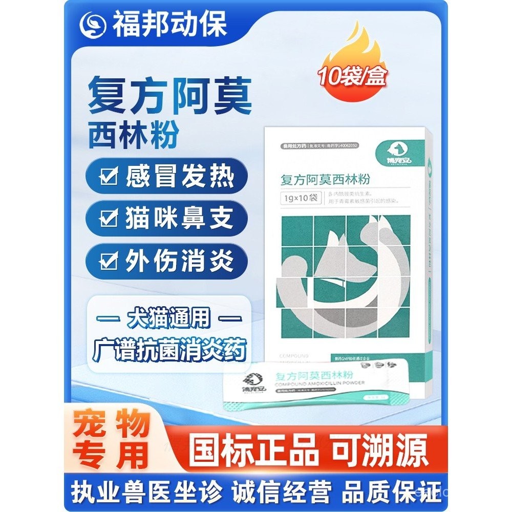 Pet Amoxicillin Powder for Cats and Dogs Cough Cold Sneezing Cat Nasal ...