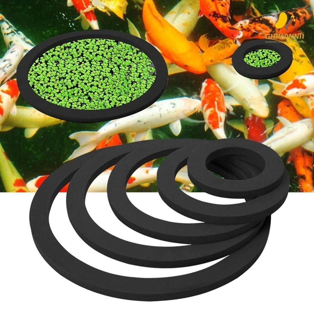 GIOVANNI1 5/10Pcs Aquarium Floating Plant Corral, 5 Size Round/Square ...