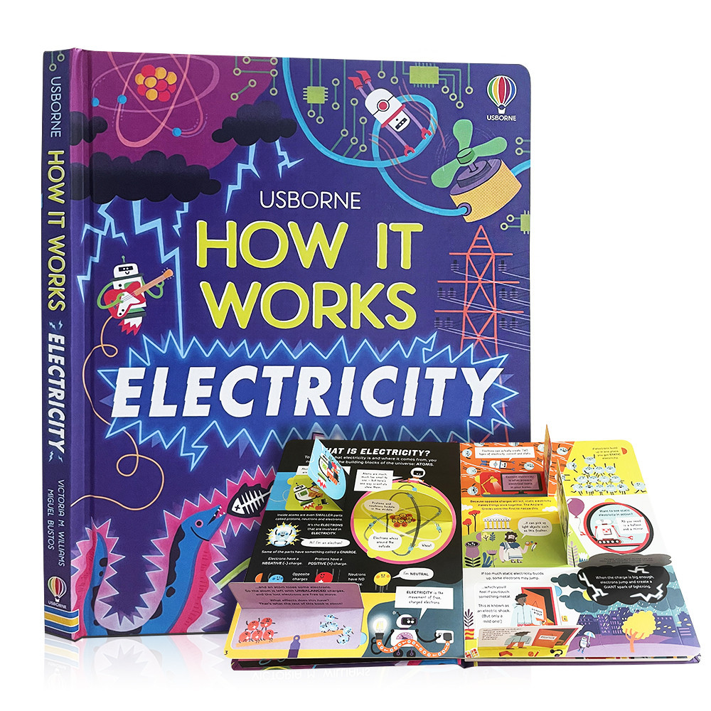 Usborne How It Works Electricity 3D Flap Picture Books kid Science ...