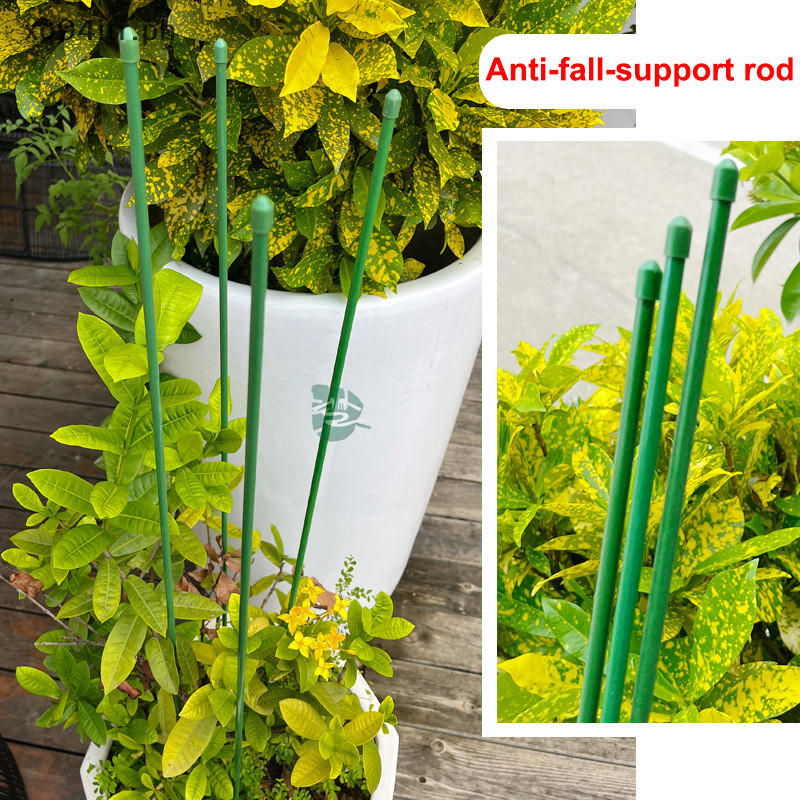 XOITR Glass Fiber Rod Plant Support Climbing Flower Stand Support Rod ...