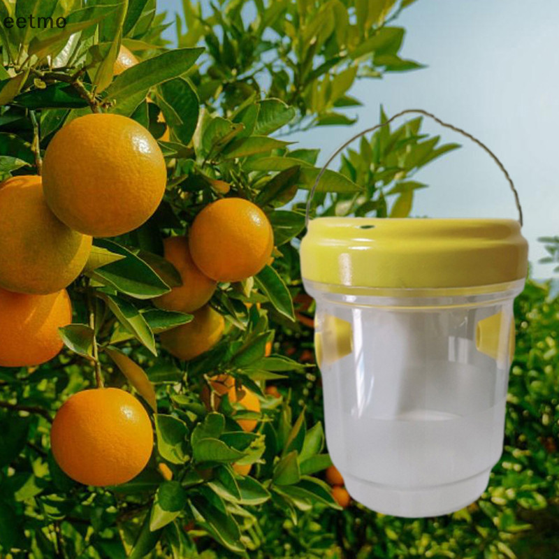 [eetmo] Fruit Fly Trap Killer Yellow Plastic Drosophila Trap Anti Fly Fruit Fly Killer Catcher ...