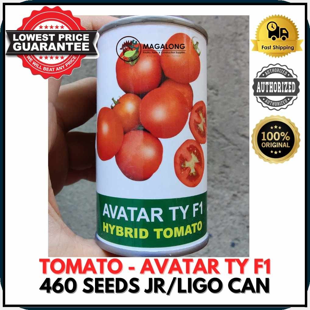 CONDOR.aI+SEEDS#zF[-&mL`TOMATO;hP`SEEDS;KI`-;iX`AVATAR;OF`TY