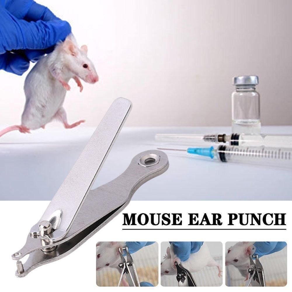 Animal Experimental Ear Punch, Stainless steel Silver Mouse Ear Punch ...
