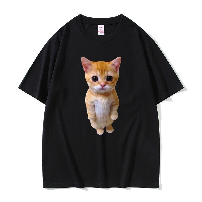 Funny El Gato Meme Sad Crying Cat Munchkin Kitty Meme Trendy Graphic ...