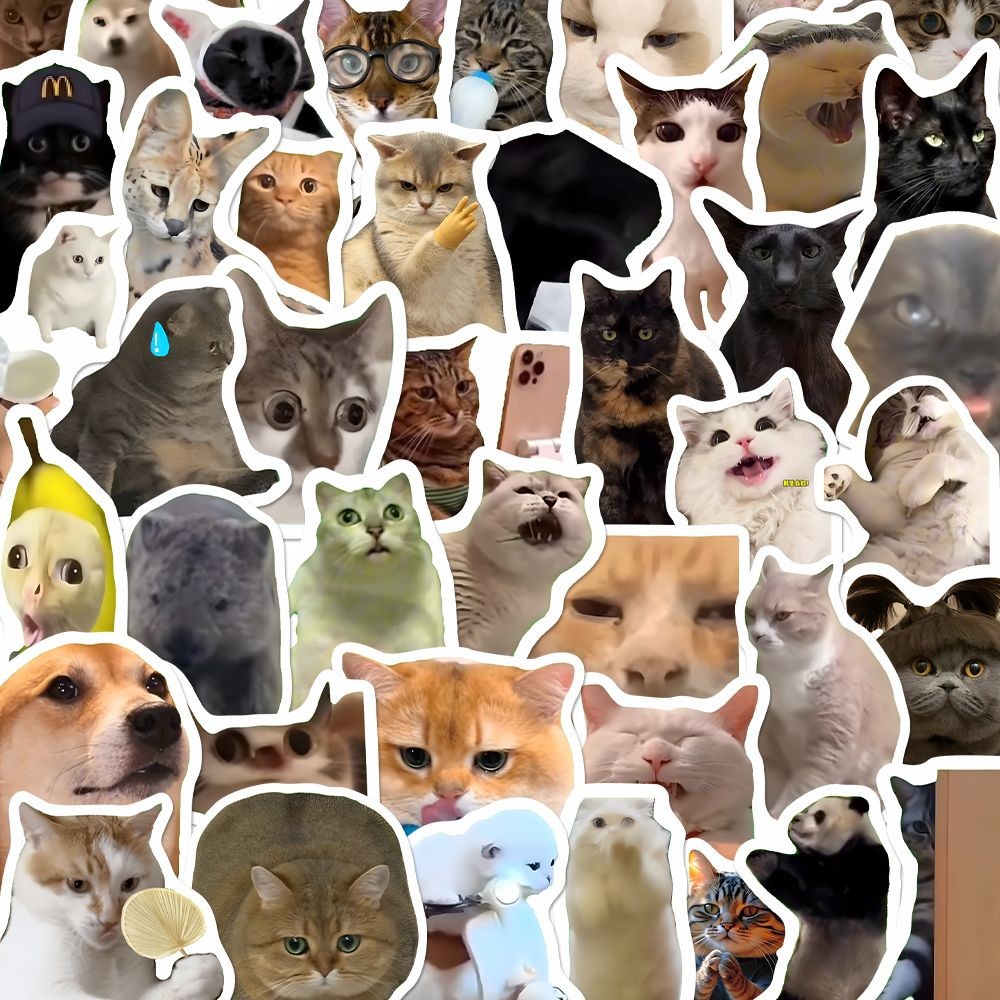 300 pieces of meme cat expression stickers, cute, funny, and ...