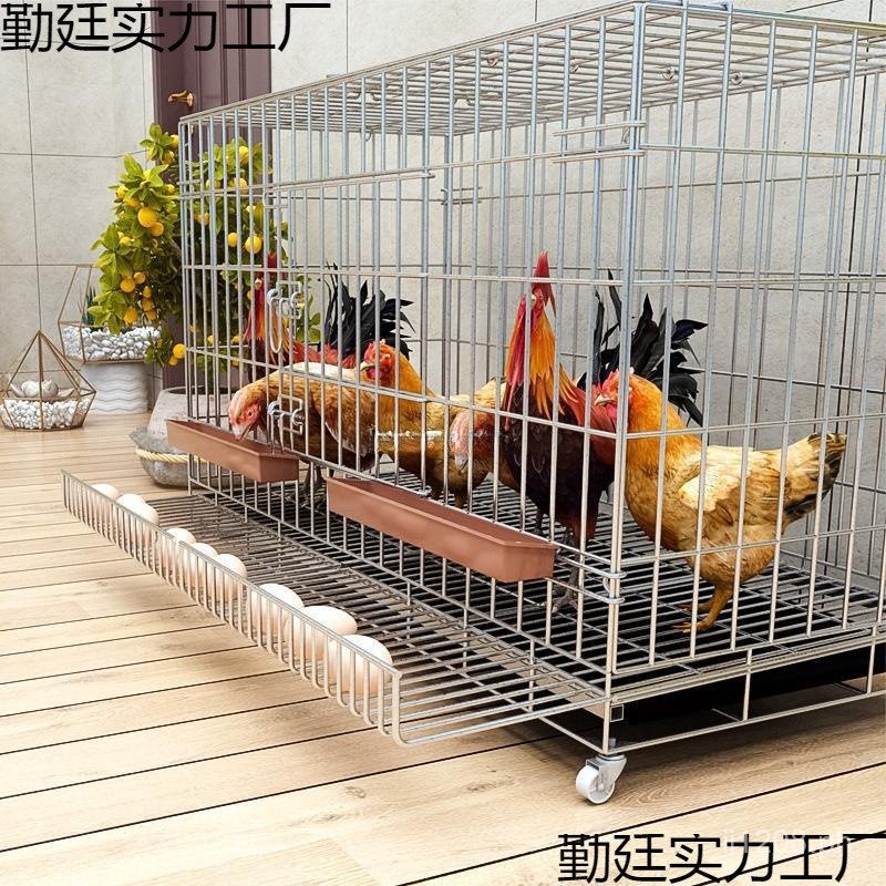 Large Chicken and Duck Cage Foldable Wire Mesh Large Automatic Chicken ...
