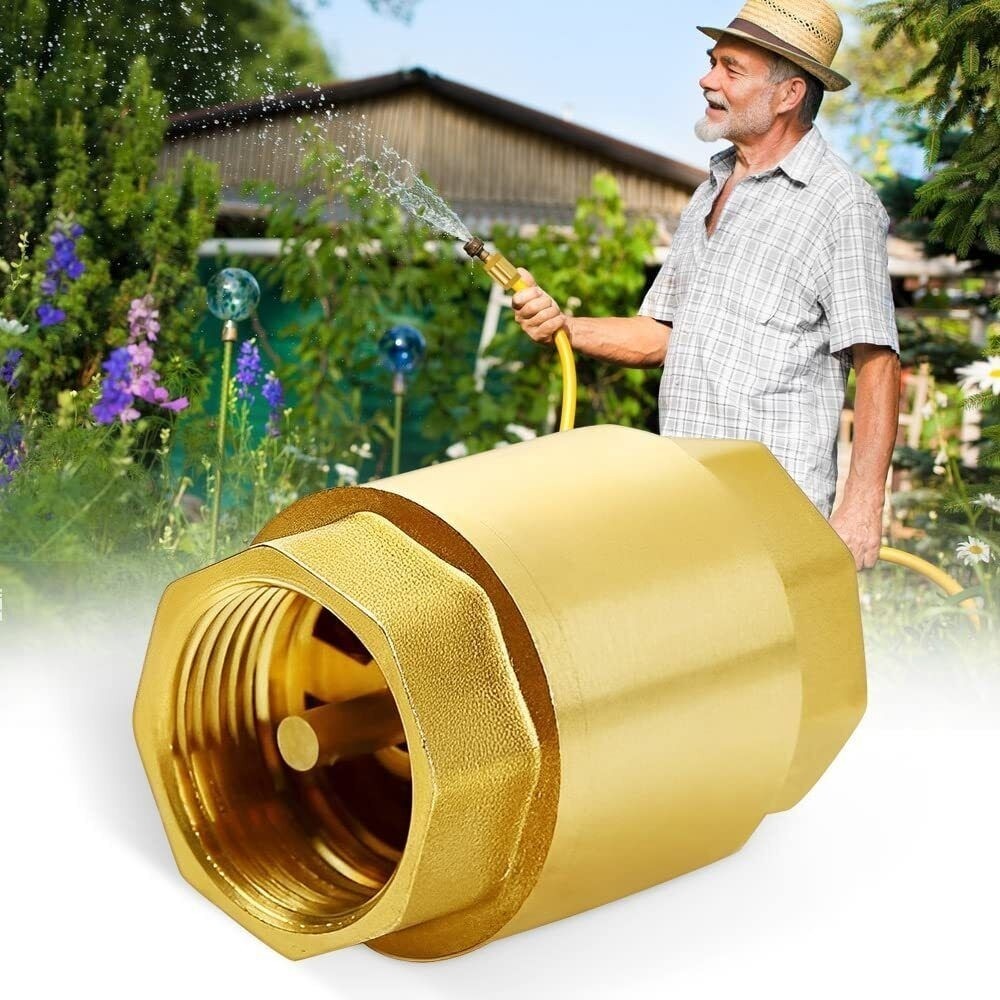 Corrosion resistant Brass Check Valve with Stainless Steel Spring 1/2 3 ...
